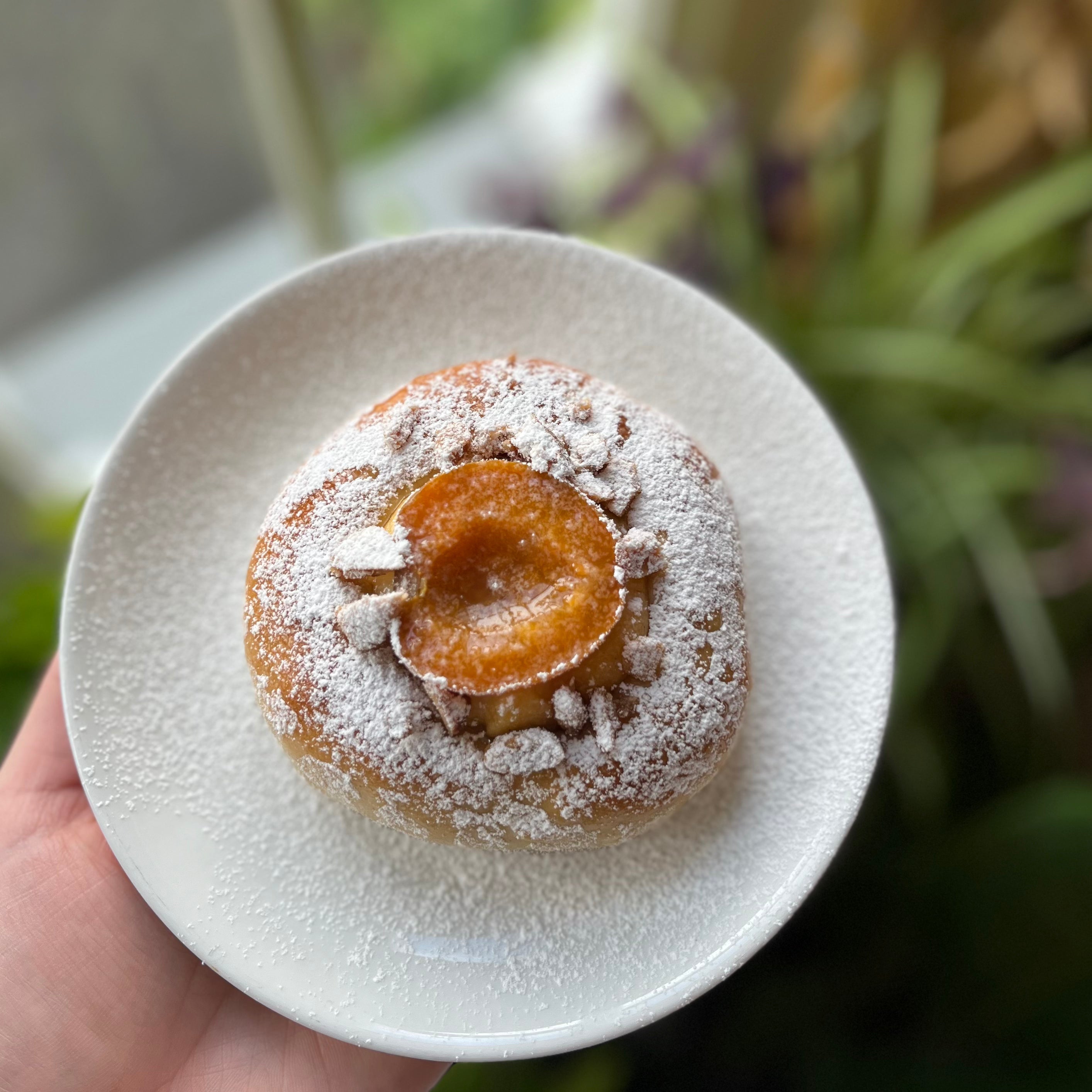 SATURDAY - Apricot Custard Bun - COVERED MARKET – Hamblin Bread